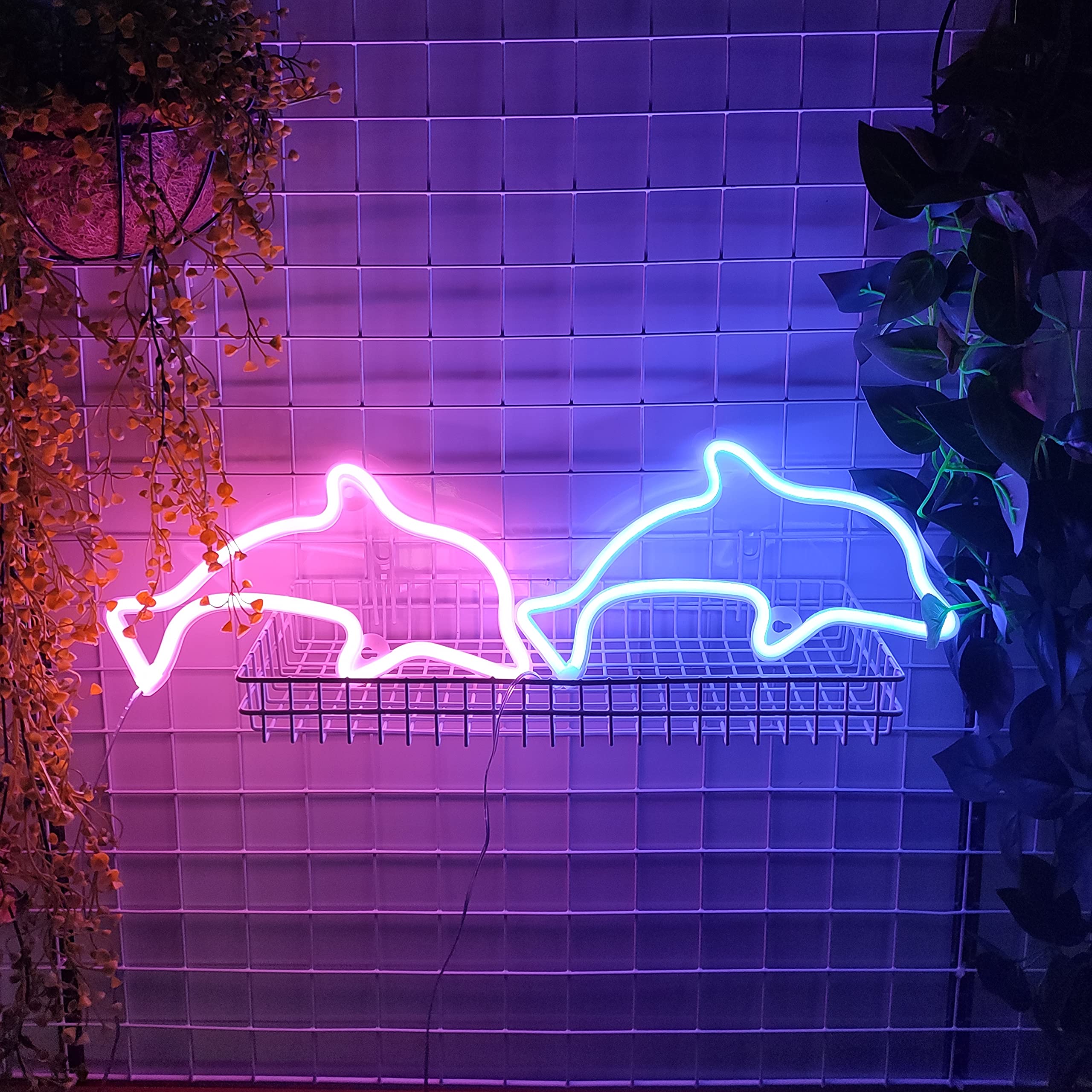 JYWJ Dolphin Neon Sign,USB or 3-AA Battery Powered Neon Light,LED Table Decoration,Bedroom Wall Decoration,Birthday Gift,Wedding Supplies Business Gift (Blue)