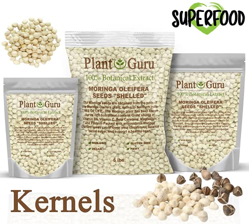 Moringa Seeds Kernel Shelled 16 oz. / 1 lb. - Clean PKM1 Variety - Edible - Moringa Oleifera - Malunggay - Semillas De Moringa - Drumstick Tree - Non-GMO - 2000 to 2400 Seeds Approx.