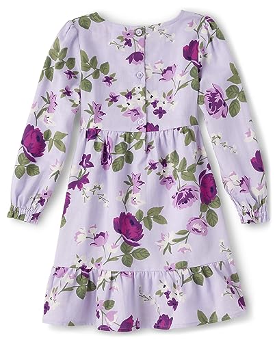 Gymboree,and Toddler Long Sleeve Casual Print Dresses,Meadow Flowers,6