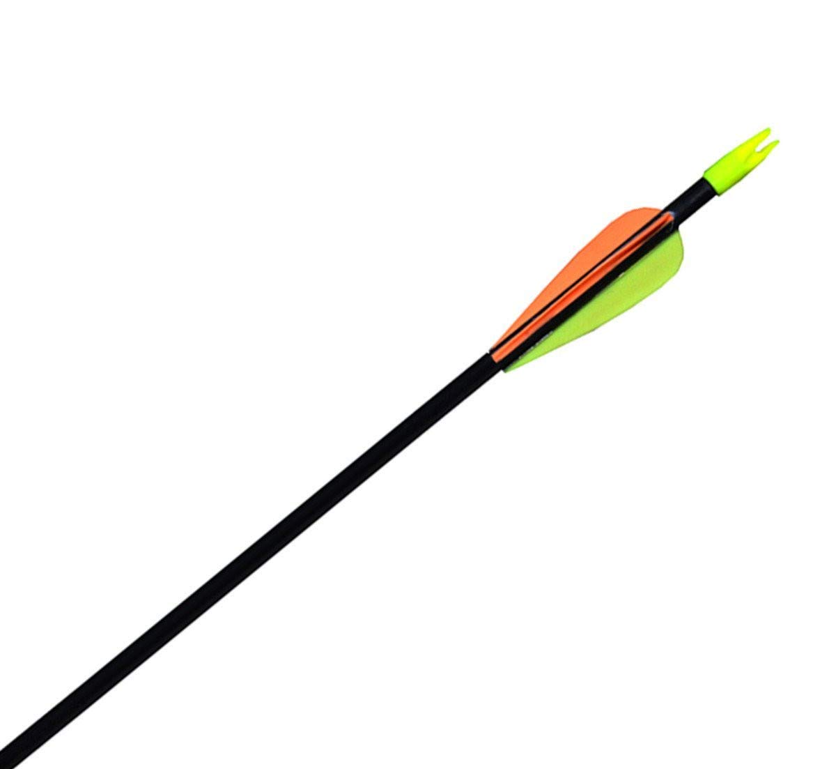 GPP 28" Fiberglass Archery Target Arrows - Practice Arrow or Youth Arrow for Recurve Bow- 12 Pack