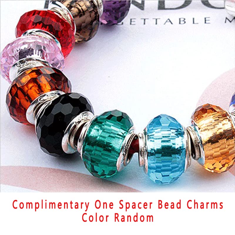 HappyStar 925 Sterling Silver Charms for Bracelets and Necklaces,Combination Dangle Pendants Beads Charms Jewelry Gift for Couples Sisters.(With Spacer Beads)