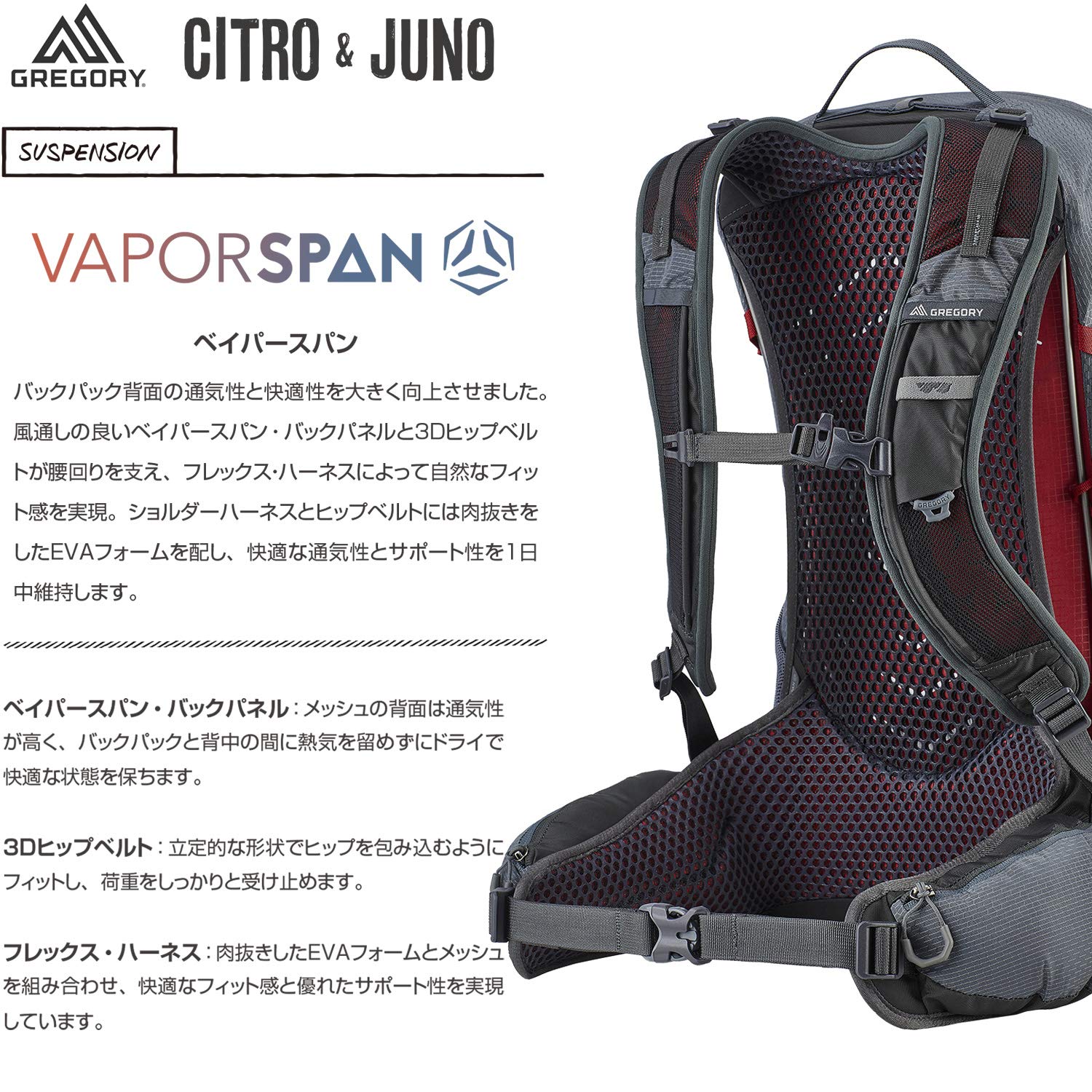 Gregory Mountain Products Women's Juno 24 Hiking Backpack