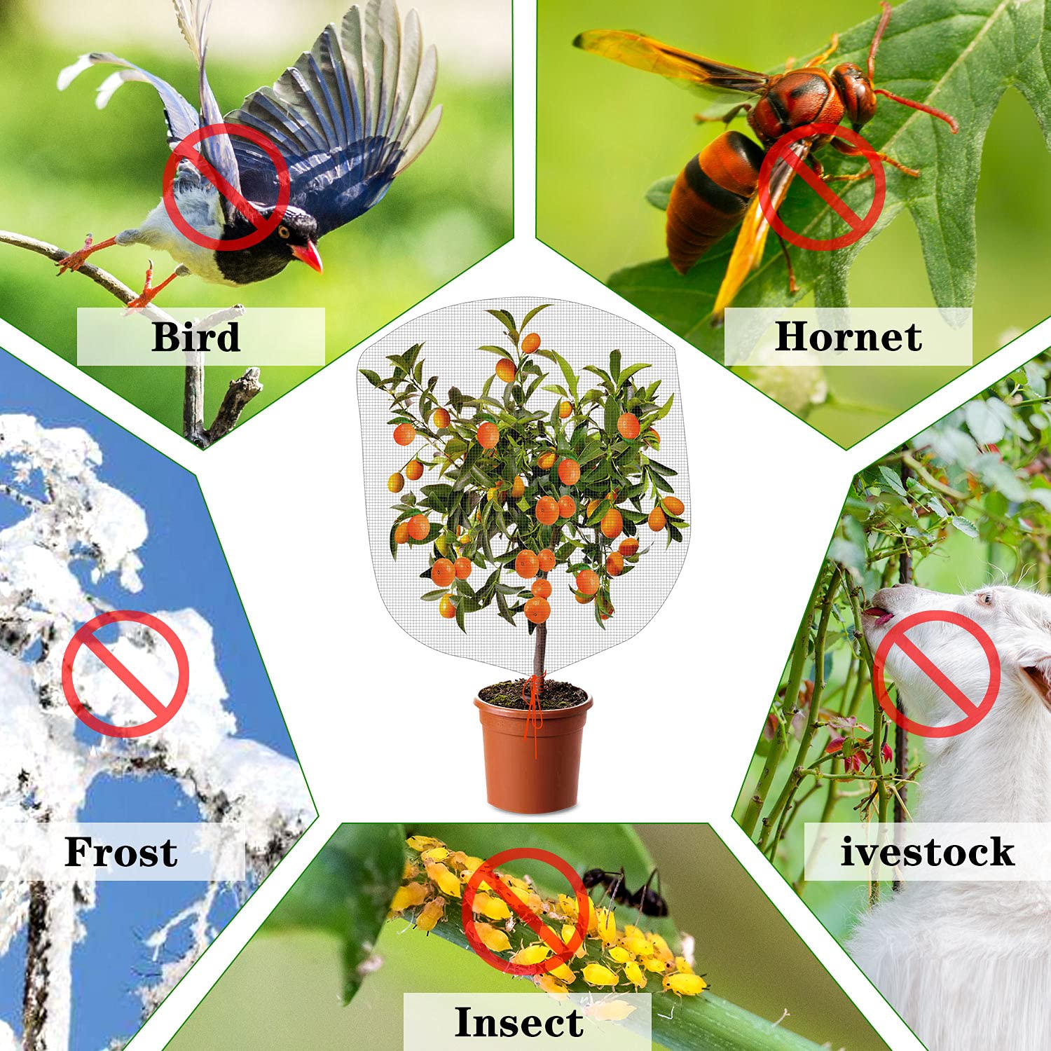 Insect Bird Barrier Mesh, Garden Netting Barrier, Bird Netting, Netting for Plant with Drawstring, 3.5 x 4.6 FT Tomato Protective Cover, Large Potted Fruit Protectors Cover for Blueberry Bushes