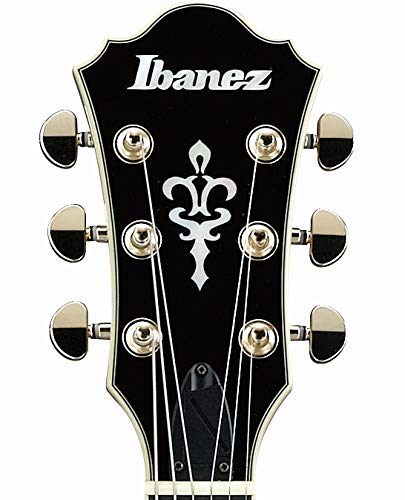 Ibanez AS93ZW Artcore Expressionist Zebra Wood Semi-Hollow Body Natural