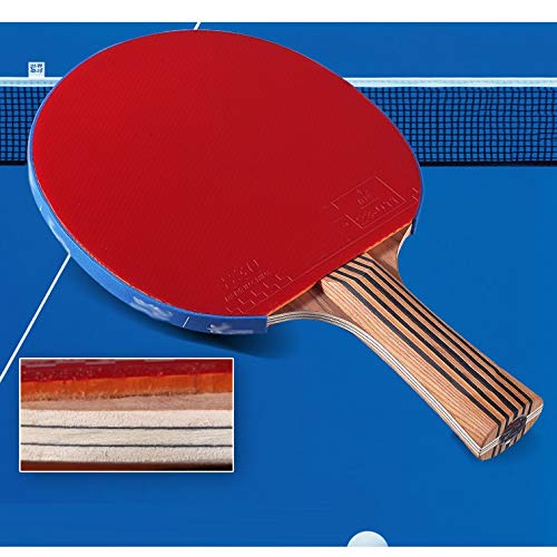 Hewen-Ping Pong Set Durable Table Tennis Set Table Tennis Racket Ping Pong Bat Set with 1 Rackets, 10 Balls and 1 Racket Case Table Tennis Bat (Size : Short)