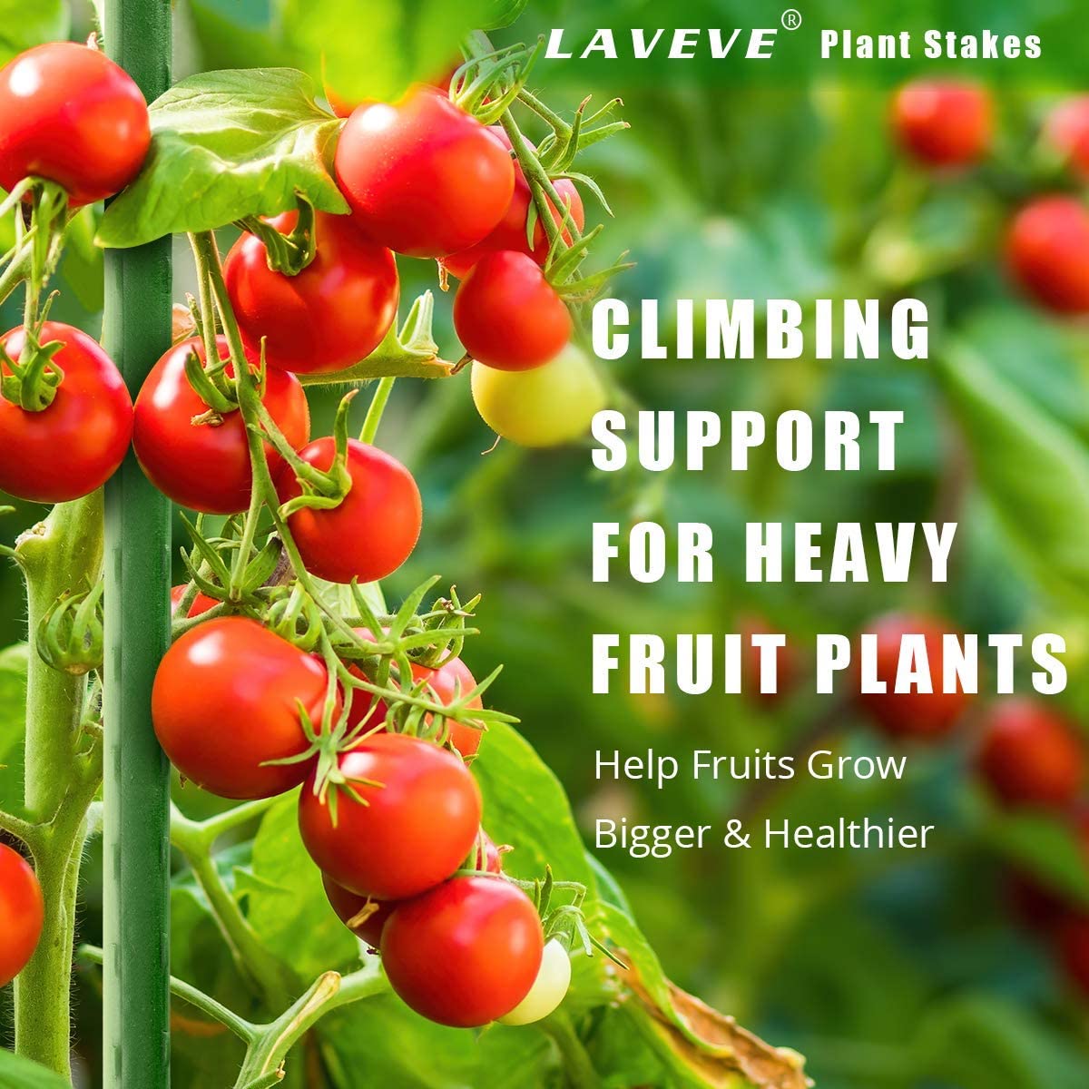 LAVEVE Garden Stakes 36 Inches Heavy Duty Steel Tomato Stakes, Plastic Coated Support Stakes for Securing Trees, Climbing Plants, Cucumber, Beans, 20 Pack