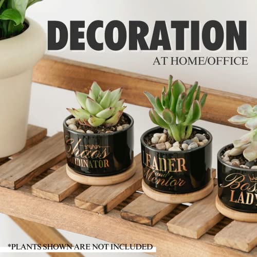InnoBeta 3pcs Mini 3.3" Plant Pots with Bamboo Tray, Best Boss Gifts, Stylish and Functional
