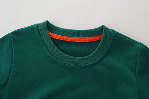 HOMAGIC2WE Baby Boy Cute Cotton Sweatshirts Kids Long Sleeve Fall Sport Pullover Shirt Casual Tops 3T