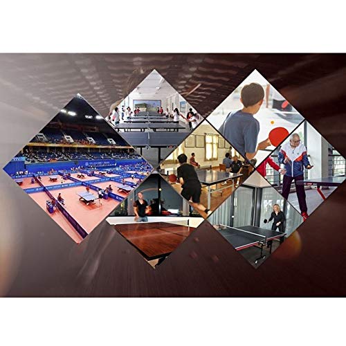 Hewen-Ping Pong Set Horizontal Grip Table Tennis Racket Pingpong Paddle Ping Pong Bat Set with 2 Rackets, 3 Balls Table Tennis Bat