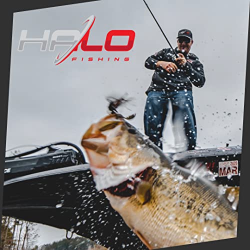 Halo Fishing Scott Canterbury Series Fishing Rod, Casting Rod, 7'3" Medium Heavy, Black