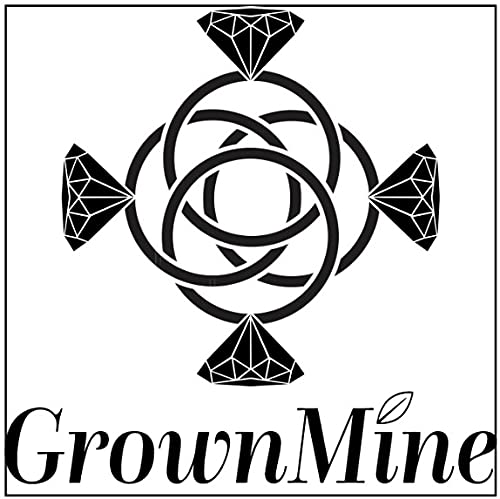 GROWNMINE Hidden Halo 1 Carat White Emerald Cut Moissanite Ring In 925 Sterling Silver For Gift (Emerald - 6.5)