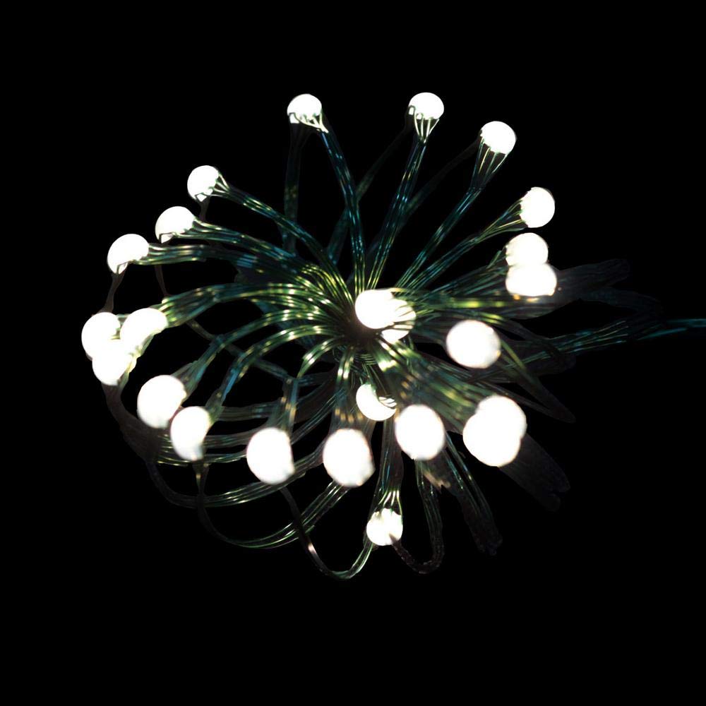 Home Accents Holiday 8 ft. Lighted Length with 24-Lights Large Dot LED Warm White Ultra Slim Wire Light Operated
