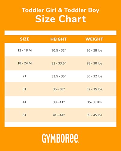Gymboree Boys and Toddler Embroidered Graphic Long Sleeve Raglan T-Shirts, County Horse, 5T