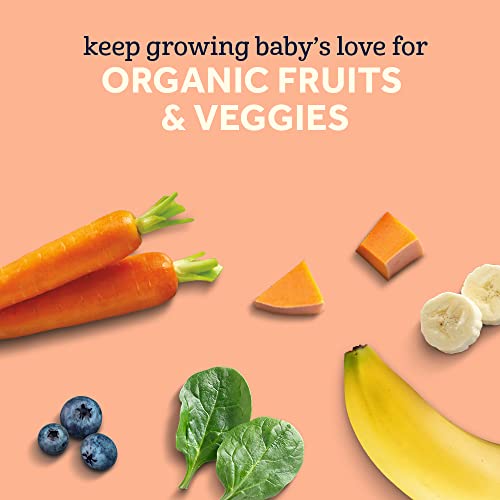 Gerber Organic Peach Strawberry Baby Food, 3.5 Oz Pouch