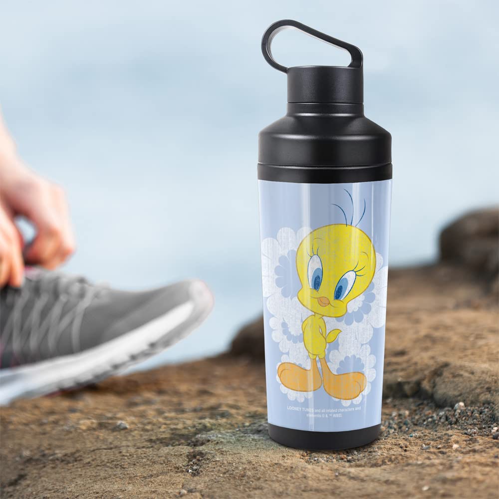 Looney Tunes OFFICIAL Retro Tweety 18 oz Insulated Water Bottle, Leak Resistant, Vacuum Insulated Stainless Steel with 2-in-1 Loop Cap