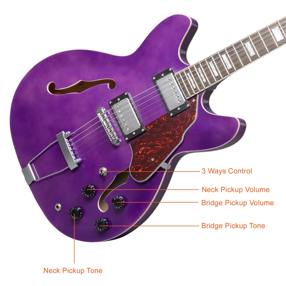 Ktaxon 6 String Electric Guitar, Semi-Hollow Body Full-Size Standard Jazz Electric Guitars Kit with Shoulder Strap, Bag, Cable, Plectrum for Beginner Professional (Purple)
