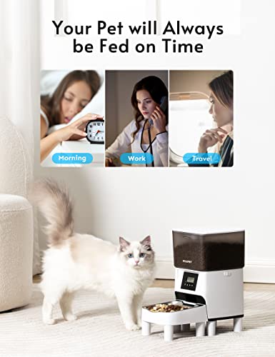 WUIPET Elevated Automatic Cat Feeders - 17 Cups Auto Pet Dry Food Dispenser for Cats and Dogs - Raised Programmable Timed Cat Feeder with Voice Recorder - 4 Meals Per Day and Portion Control