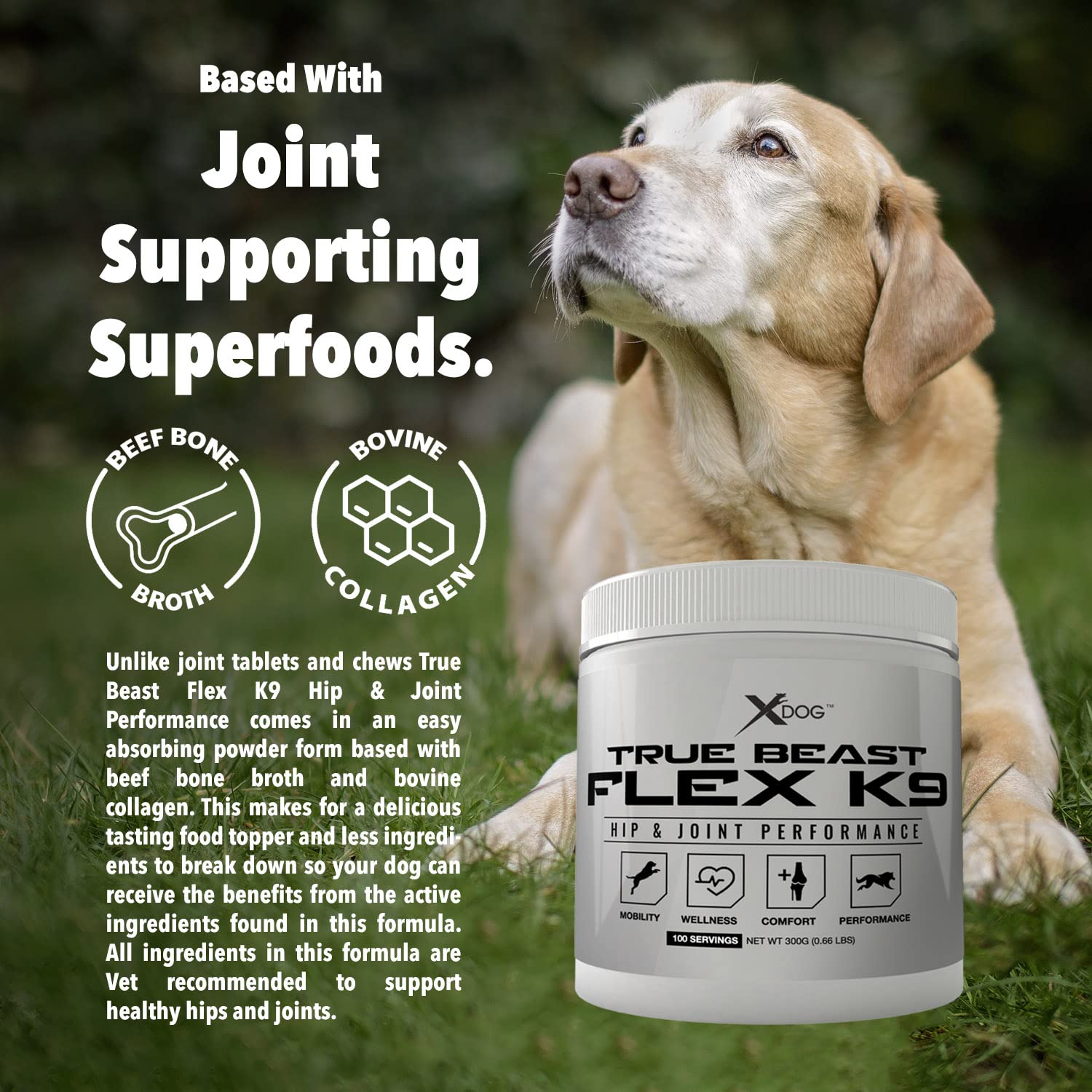 True Beast Flex K9 Hip, Joint, Muscle Builder & Performance Supplement for Dogs (Veterinarian Formulated) Glucosamine, MSM, Chondroitin, Creatine, DMG, Organic Turmeric, Vitamin C, Manganese.
