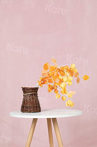 Kate 6ft×9ft Solid Light Pink Backdrop Portrait Photography Background for Photography Studio Children and Headshots Light Pink Backdrop Background for Photography Photo Booth