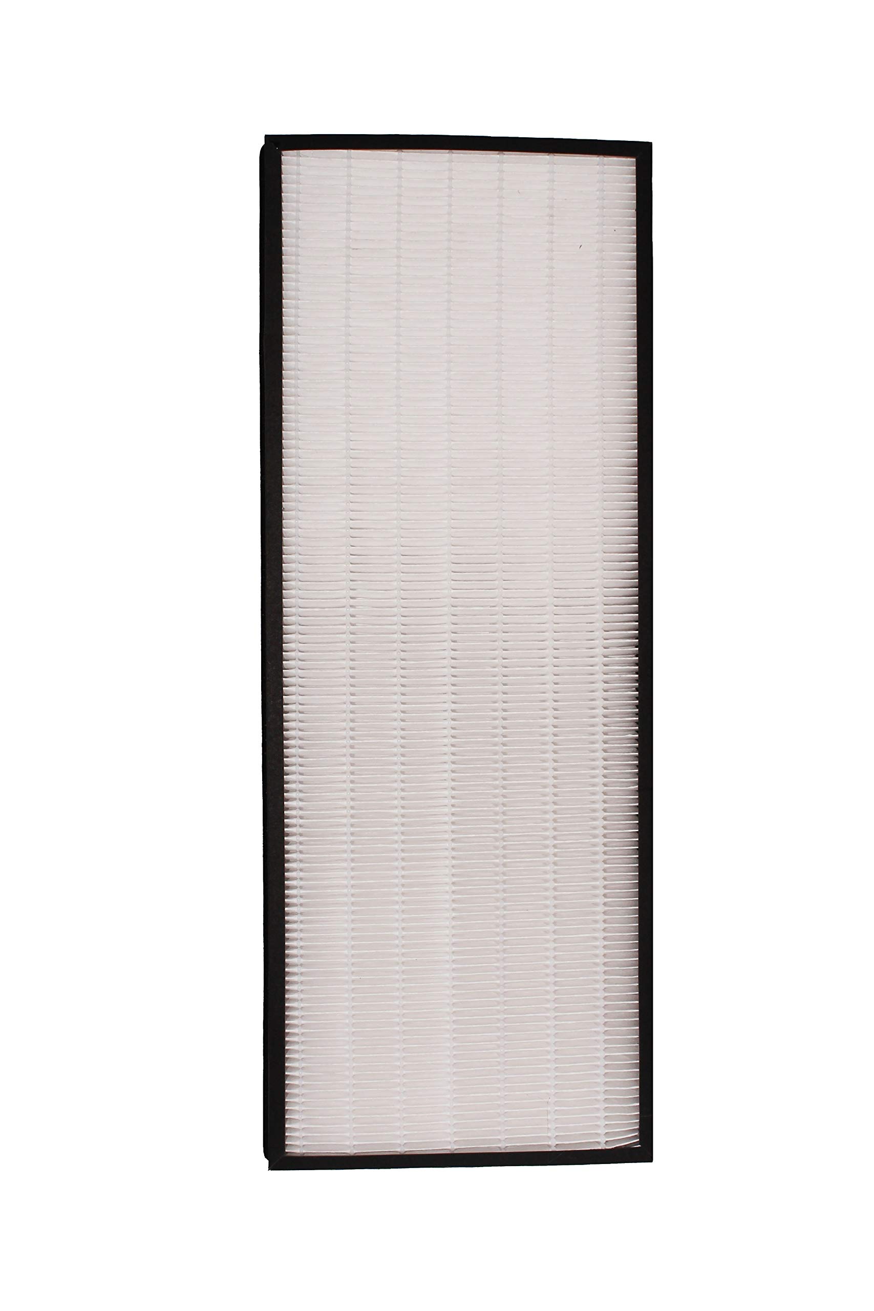 LifeSupplyUSA (2-Pack) True HEPA Filter Replacement Compatible with Rowenta XD6071 XD6076 fits PU6010 PU6020 Intense Pure Air XL Purifiers