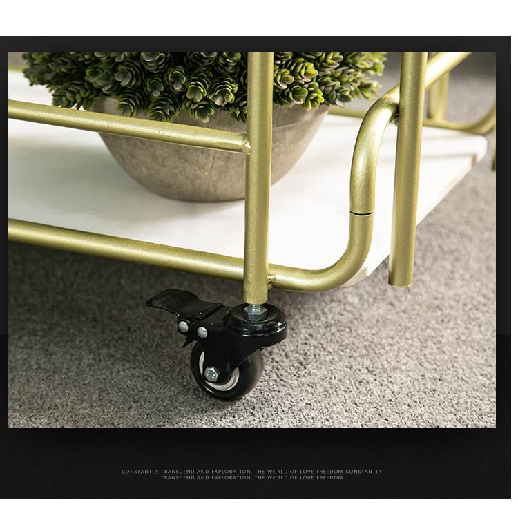 LIUZH Golden Hotel Bar Trolley Restaurant Mobile Hand Push Dining Cart Dining Side Table Fruit Cart Commercial (Color : E, Size : 2 Layer)