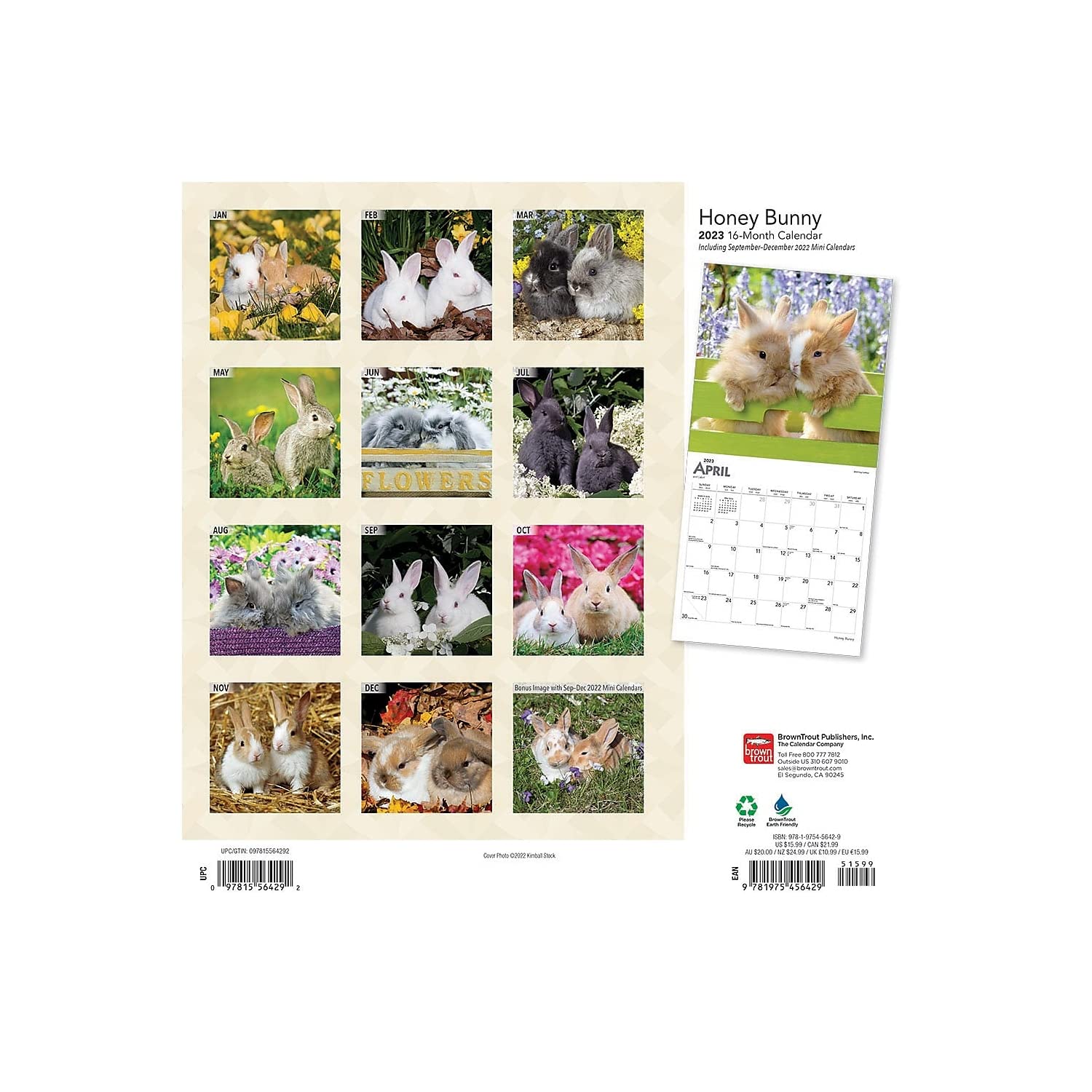 Honey Bunny | 2023 12 x 24 Inch Monthly Square Wall Calendar | BrownTrout | Domestic Small Cute Animals