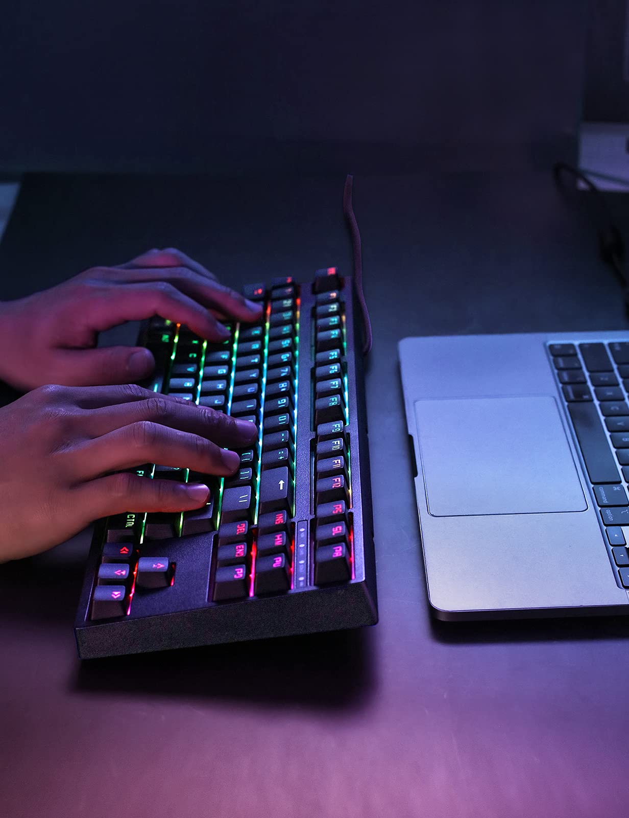 hiwings TKL Mechanical Keyboard, Compact Gaming Keyboard RGB Rainbow Backlit 80% 87 Keys Wired Keyboard with Blue Switches for Windows, Mac with Type C Adapter (Extra OTG) (Black)