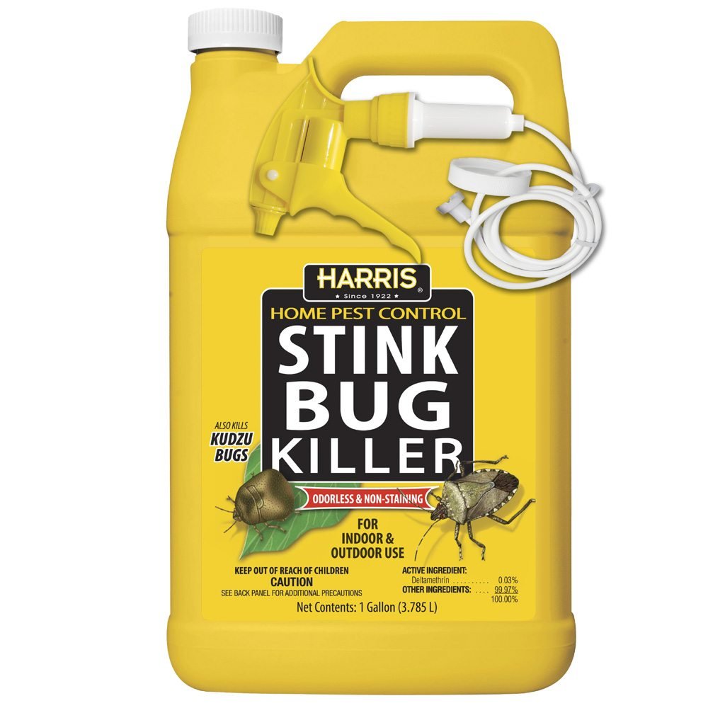 Harris Stink Bug Killer, Liquid Spray with Odorless and Non-Staining Extended Residual Kill Formula with Funnel and Sprayer (Gallon)