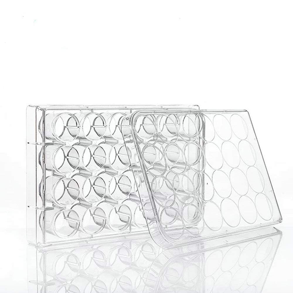 United Scientific⢠F1004 Non-Sterile Polystyrene Well Pate | 24 Wells | Desinged for Laboratory, Classroom, or Home Use | Pack of 10