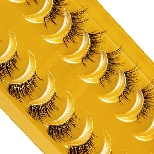 HICOCU Half False Eyelashes Clear Band Russian Strip Lashes D DD Curl Fluffy Mink Lashes Natural Wispy Mink Eye Lashes Pack Reusable Fake Eyelashes Extension 10 Pairs… (HAY-008S)