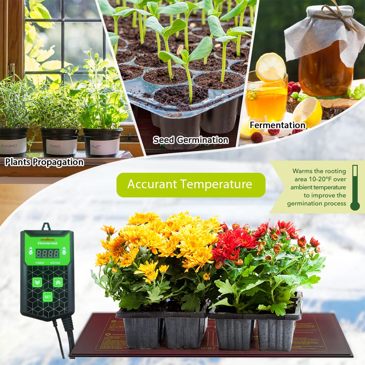 Heatideas Digital Thermostat Seedling Heat Mat Combo Warm Hydroponic Plant Heating Pad with Temperature Controller for Seed Starting Germination Plant Propagation
