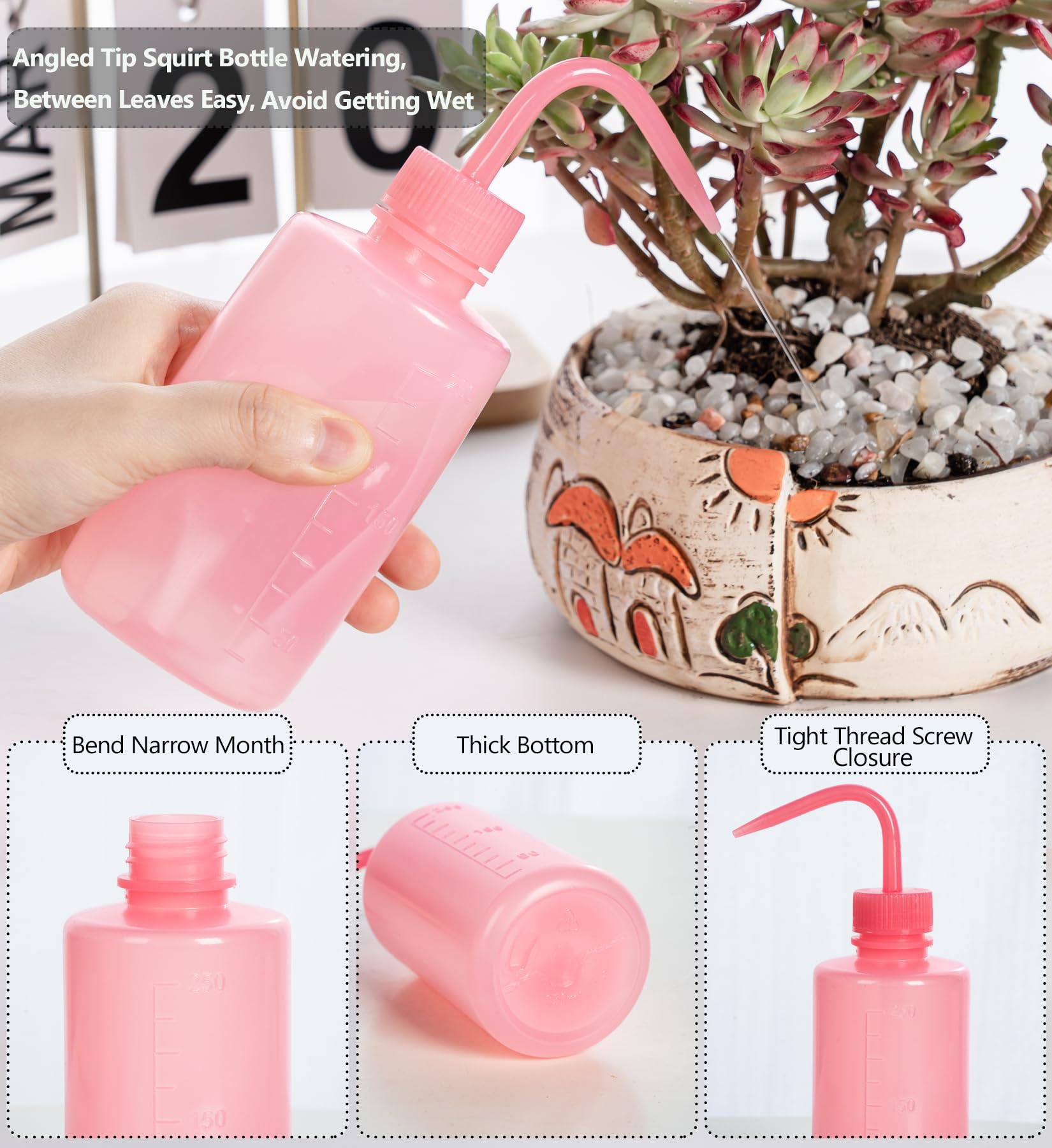 Melphoe 2Pcs 250ml 500ml Tattoo Wash Bottle, Plastic Squeeze Medical Lab Washing Bottle, Succulent Watering Can, Lash Water Bottle, 750ml, Pink