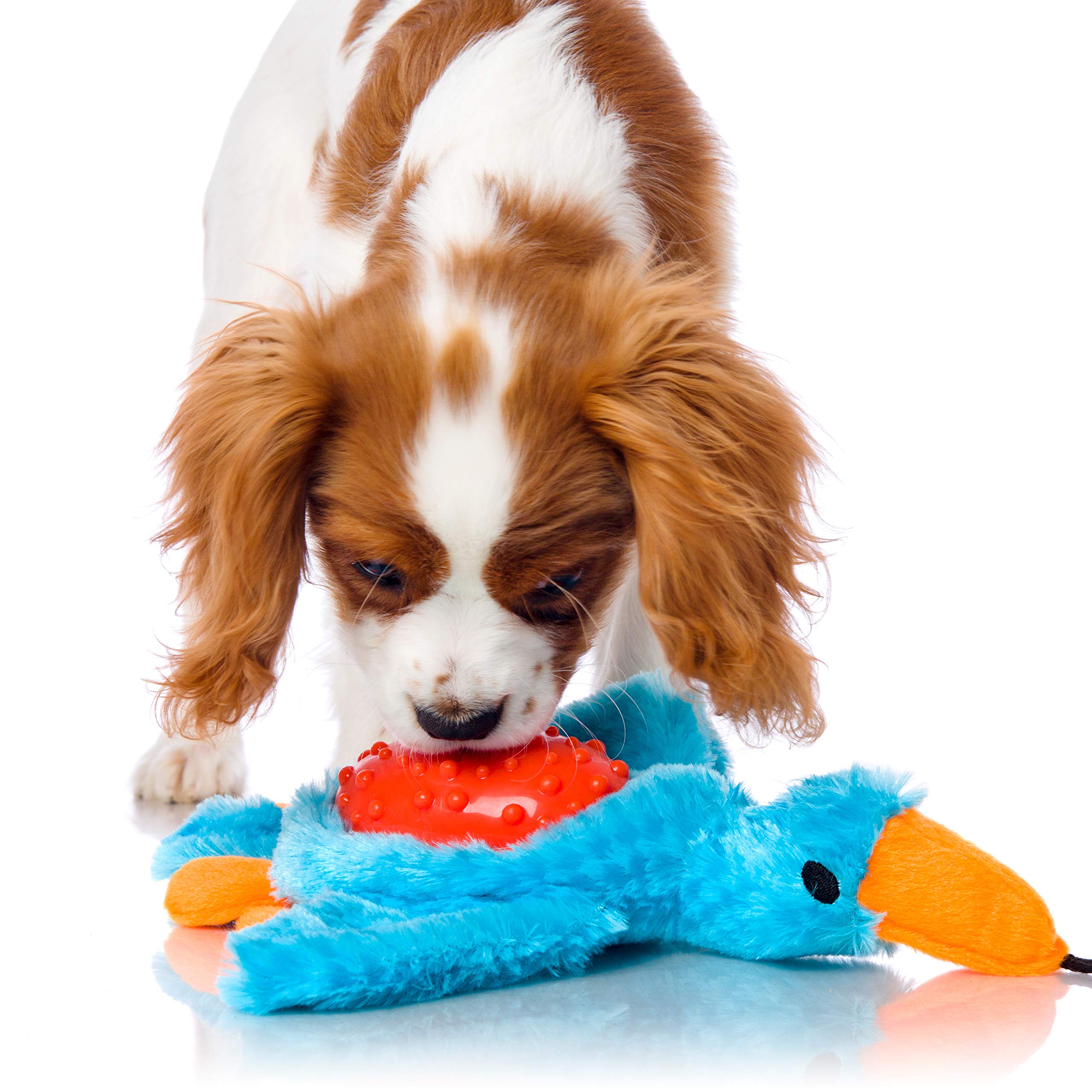 Hartz Squeak & Treat Duck Treat Dispensing Dog Toy, 1 Count