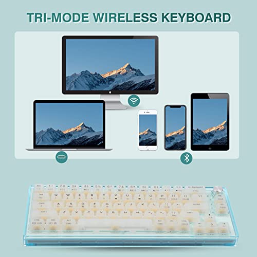 MechLands MC66 65% Hot Swap Programmable RGB 2.4Ghz/ Bluetooth/USB-C Wireless Gaming Keyboard with Double Sound Absorbing Silicone Pad, 4000mAh Battery for Win/MAC/iOS(White, Flamingo Switch)