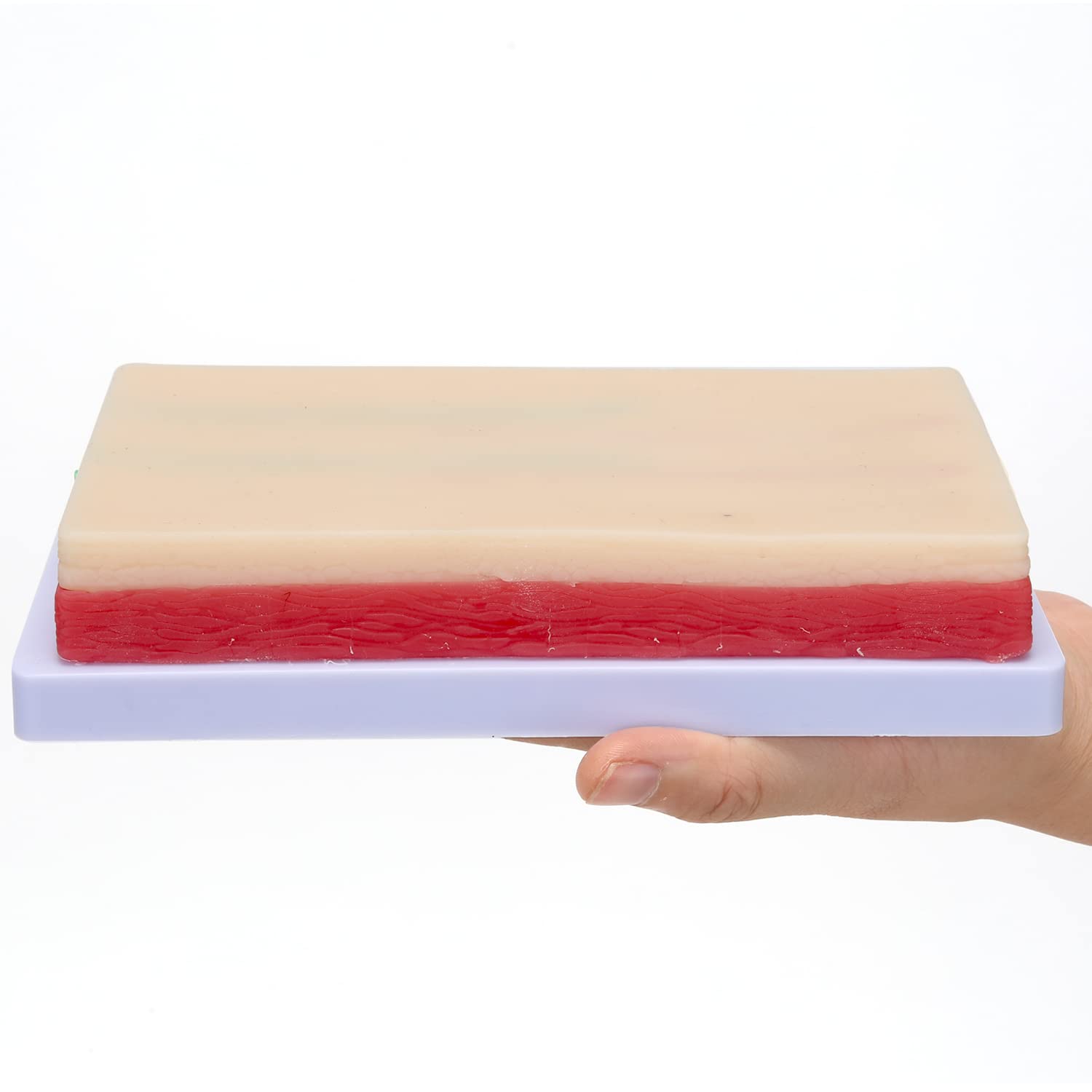 MIIRR IV Injectable Training Pad Model, Embedded with 4 Veins and 3 Skin Layers, Reusable for Medical Student Nurse Practice