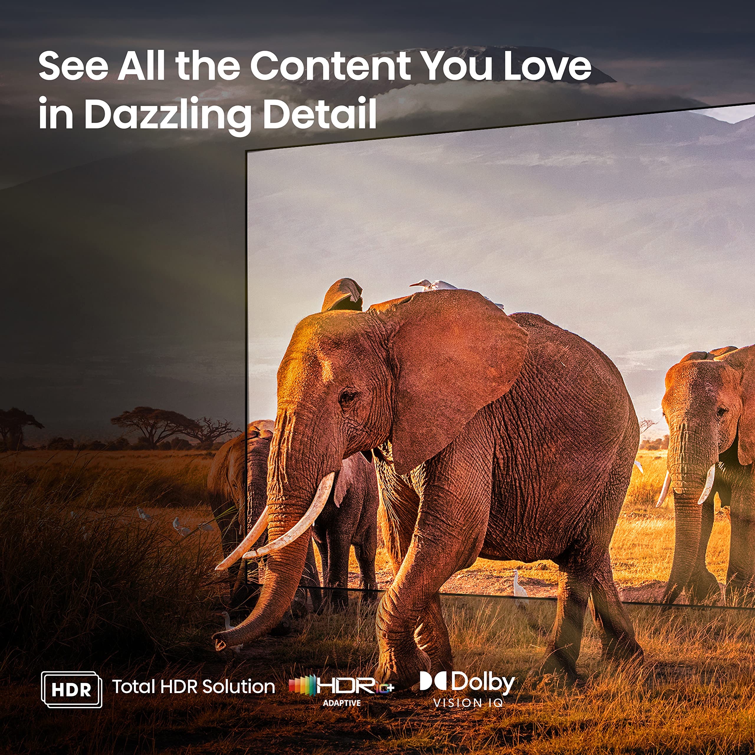 Hisense 75-Inch Class U6 Series Mini-LED ULED 4K UHD Google Smart TV (75U6K) - QLED, Full Array Local Dimming, Dolby Vision IQ,HDR 10+, VRR Game Mode Plus, 240 Motion Rate, Alexa Compatibility