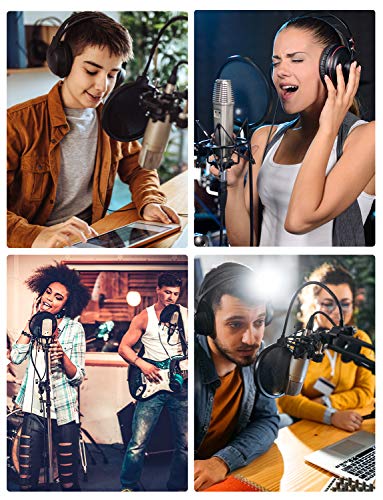 InnoGear Microphone Pop Filter, Upgraded 6" Double Layer Mic Mask Shield Windscreen with Aluminum Alloy Mount and 360° Gooseneck for Blue Yeti and Any Other Microphone