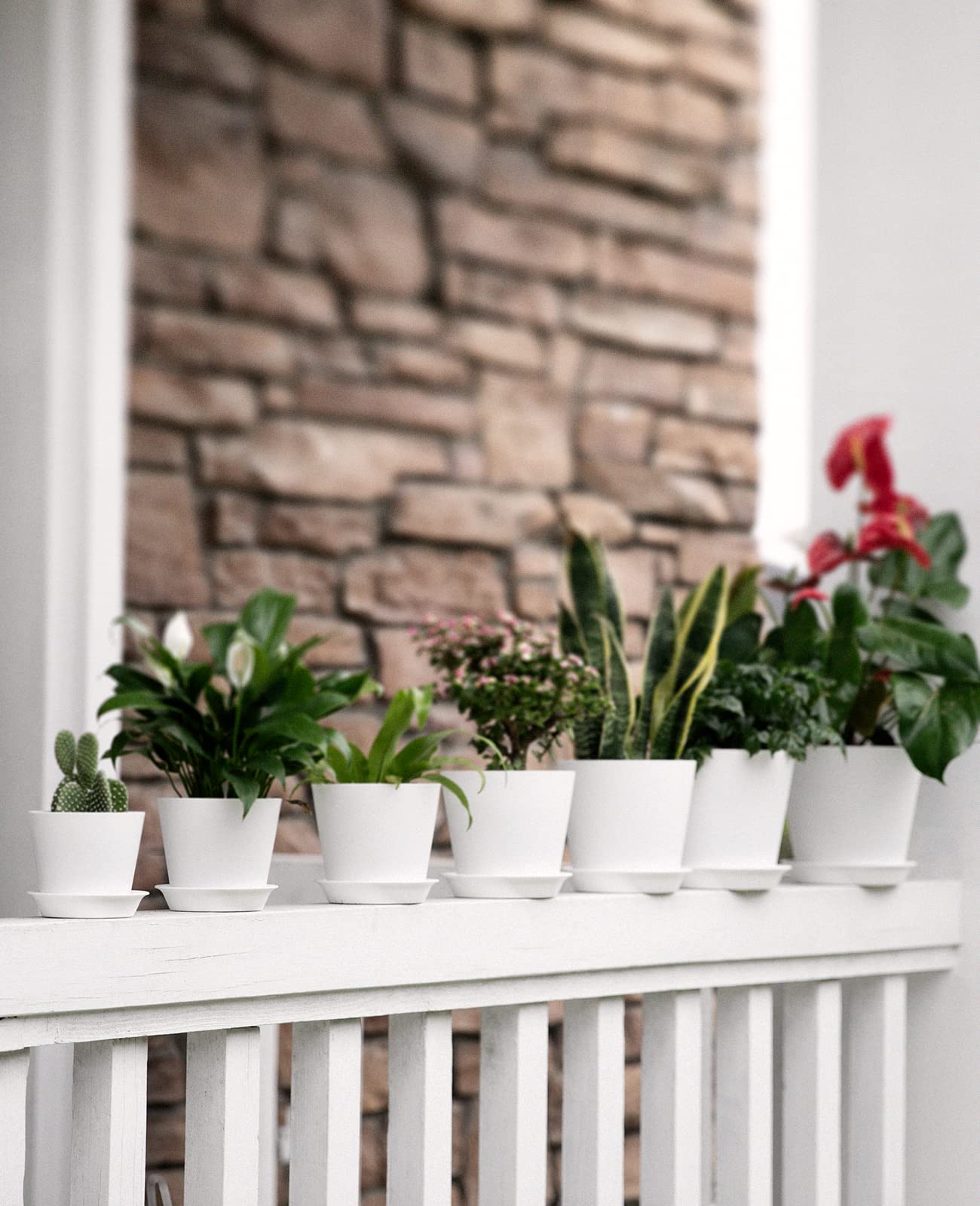LaDoVita 7 Pack Plastic Plant Pots Indoor, 7/6.5/6/5.5/5/4.5/4 Inch Modern Planters for Plants, Flower Pots with Drainage Holes and Trays, White