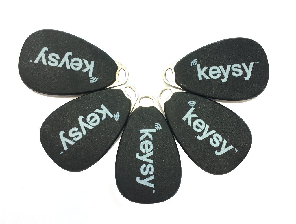 Keysy Rewritable RFID Key Fobs (5-Pack, Black/No Logo)