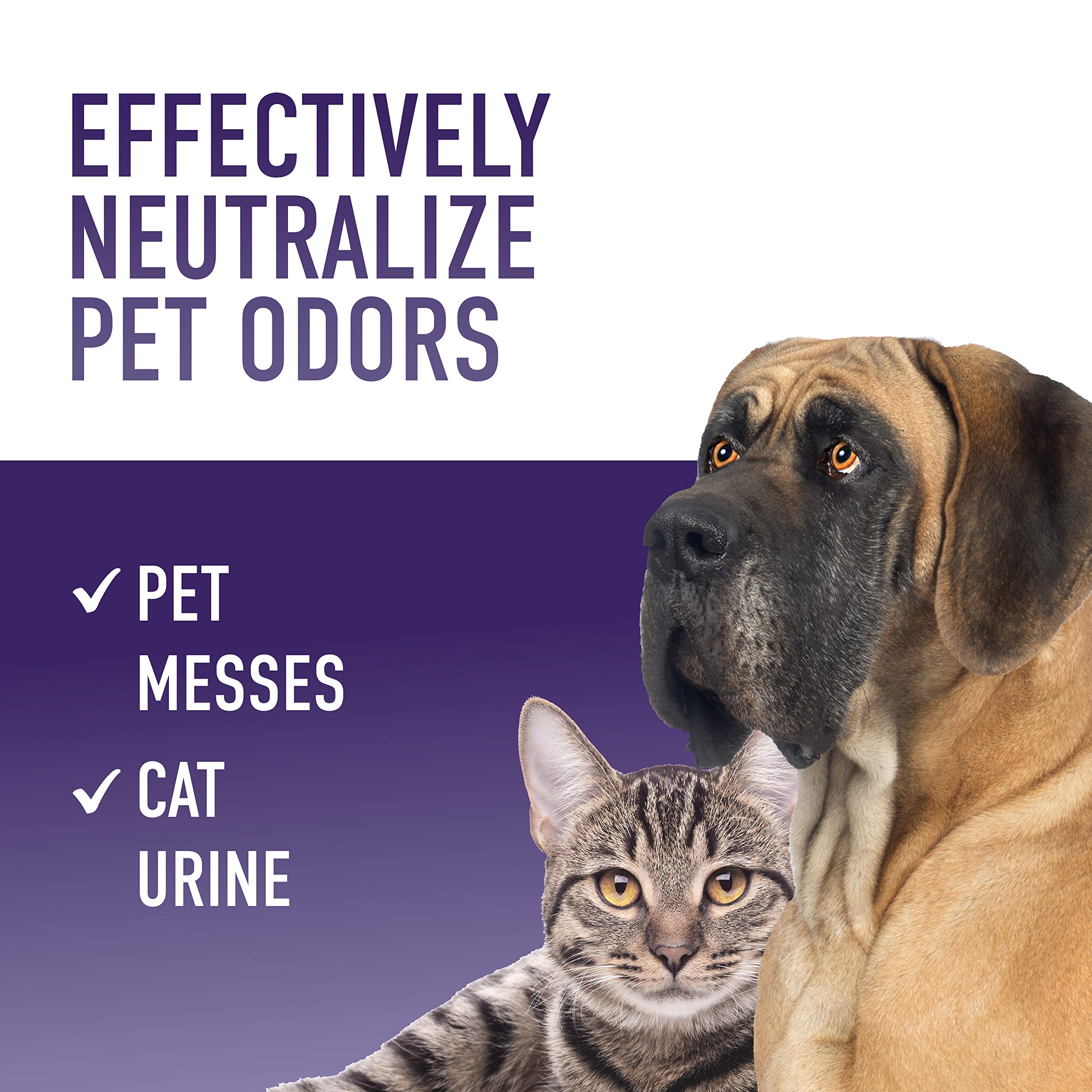 Hoover Complements Pet Odor Eliminator Carpet Cleaning Booster Formula for Machines, 16 oz Solution, Pack of 2, AH33030, White