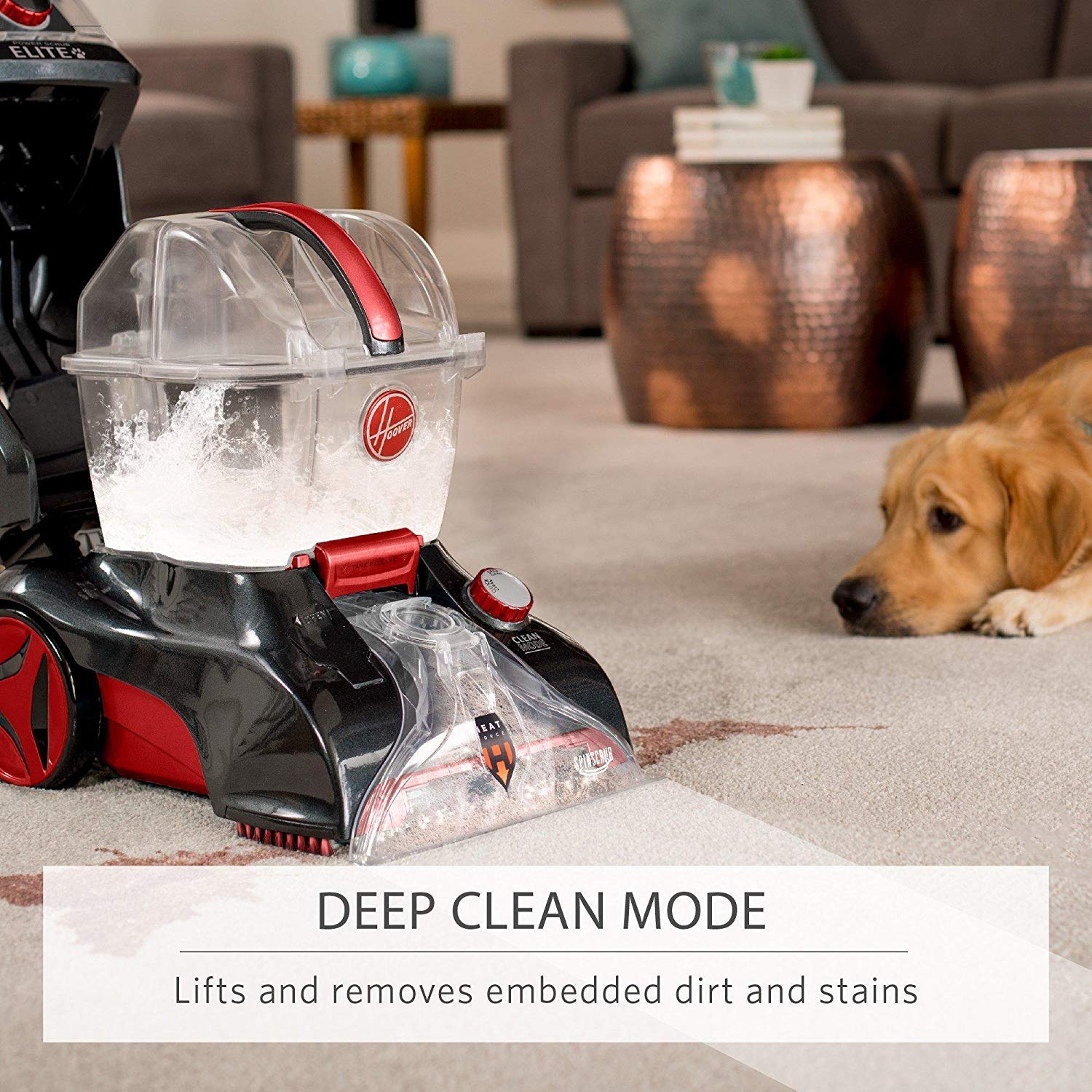 Hoover Power Scrub Elite Pet Carpet Cleaner with Paws & Claws Carpet Cleaning Solution with Staingua