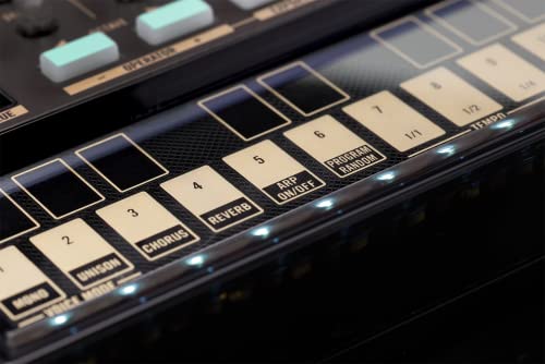 Korg Synthesiser (VOLCAFM2)
