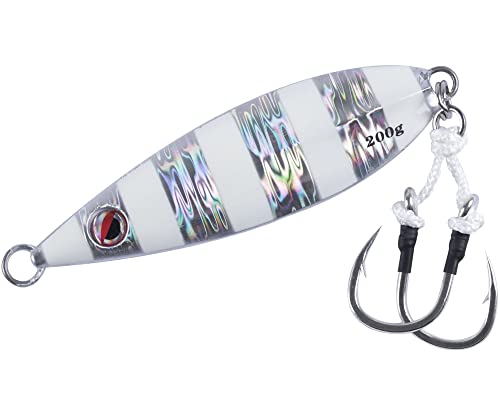LITTMA Slow Pitch Jigs 100g 150g 200g Flat Fall Jig Slow Jigging Speed Jigging Metal Jigs with Assist Hooks Flatfall Jigs Color Glow