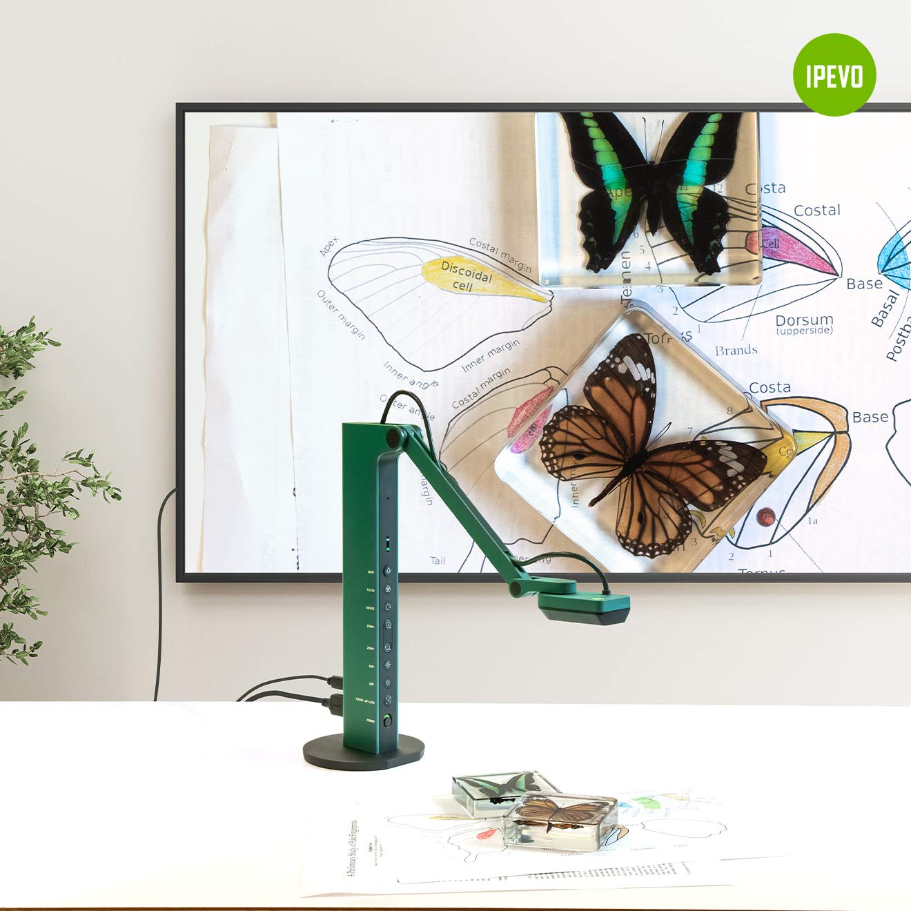 IPEVO VZ-R HDMI/USB Dual Mode 8MP Visual Communication Tool for Real-time Projection, Remote Work, Distance Learning, Web conferencing, Video Recording, Live Demos — Works with and Without a Computer