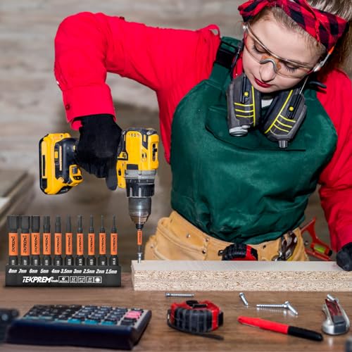 Metric & SAE Hex Head Allen Wrench Drill Bit Set,TEKPREM 20-Piece 1/4 inch Magnetic Tip Hex Screwdriver Bit Set with Rubber Strip and Storage Box, S2 Steel & 2 inch Long