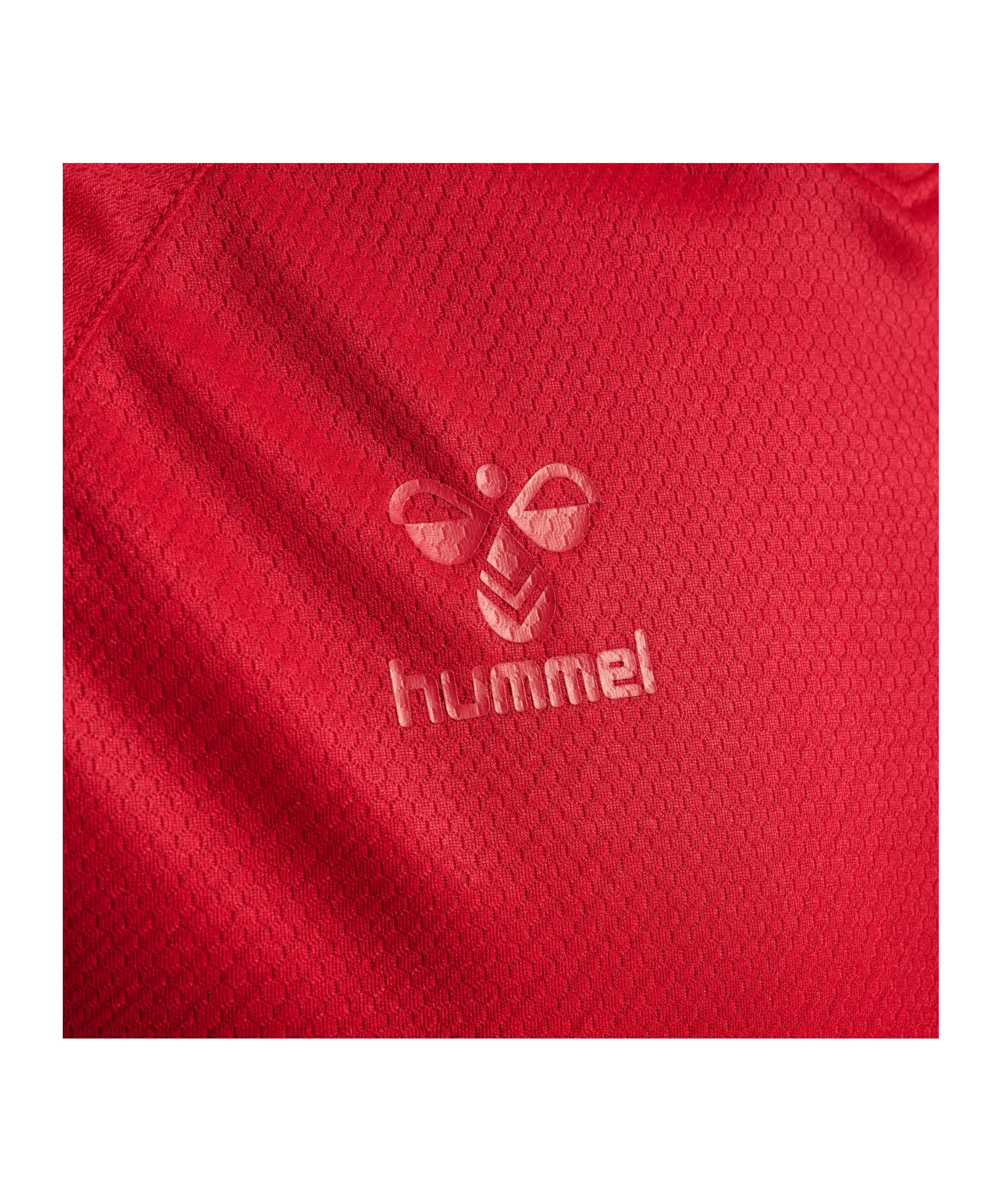 Hummel Men's Denmark Home Jersey (as1, Alpha, l, Regular, Regular, Large)