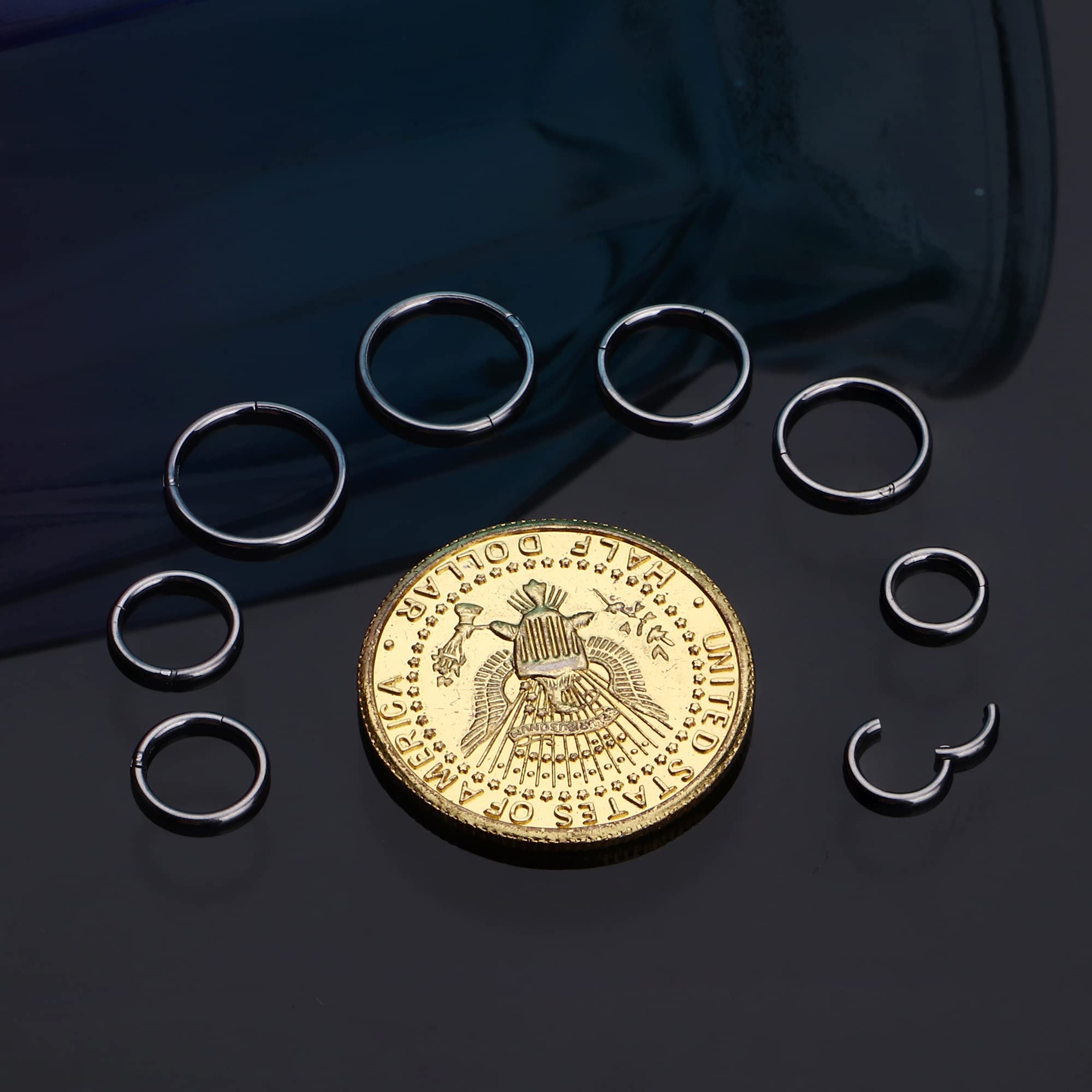 LOYALLOOK G23 Titanium Hinged Clicker Segment Nose Rings Hoop Septum Nose Lip Ring Hoop for Women Men Helix Cartilage Daith Tragus Sleeper Earrings Body Piercing Improved 16G Silver Tone