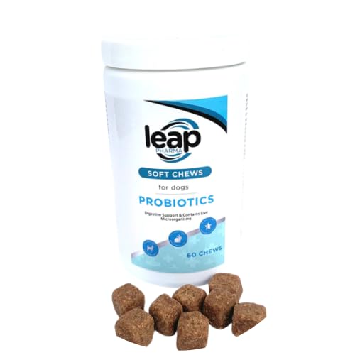 Probiotics for Dogs - Dog Probiotic and Digestive Enzymes for Dogs - 60 Soft Chews for Digestion Support - Pet Supplements