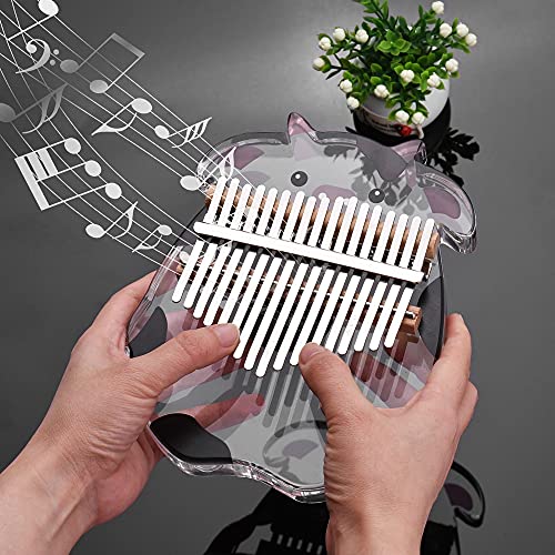 KXDFDC 17 Keys Crystal Kalimba Thumb Piano Cute Acrylic Kalimba with Storage Case Tuning Hammer for Children Adults Beginners