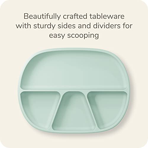 NUK Silicone Baby Suction Plates, Durable Suction Feature Helps Reduce Spills, Microwave & Dishwasher Safe, BPA-Free, Pack of 2